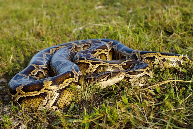 Regulations and Permits FPCP