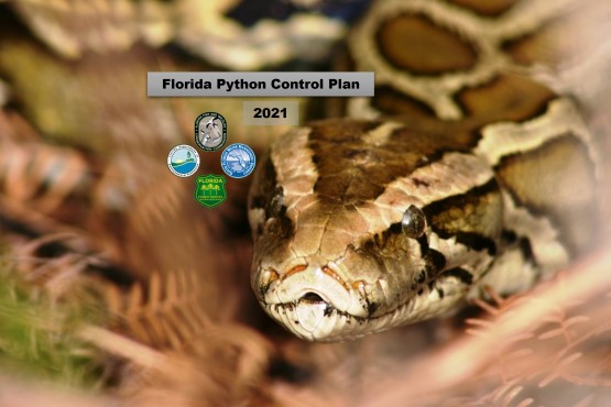 FPCP Information FPCP