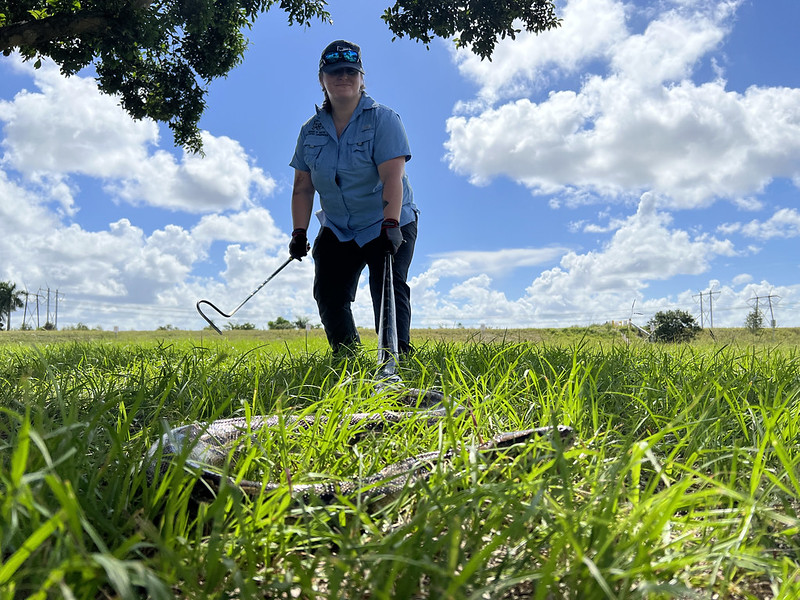 Control and Research FPCP